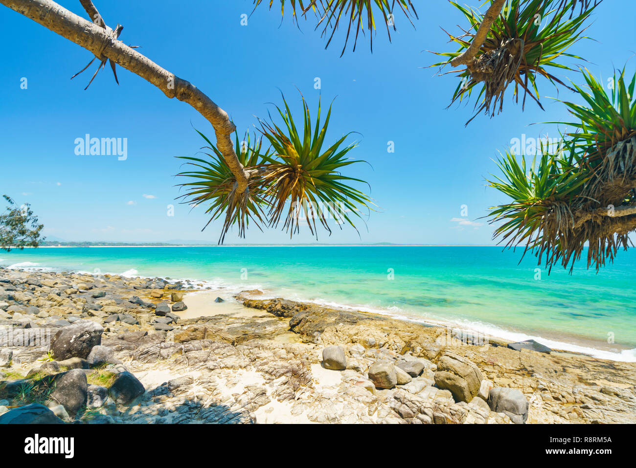 Noosa national park hi-res stock photography and images - Alamy