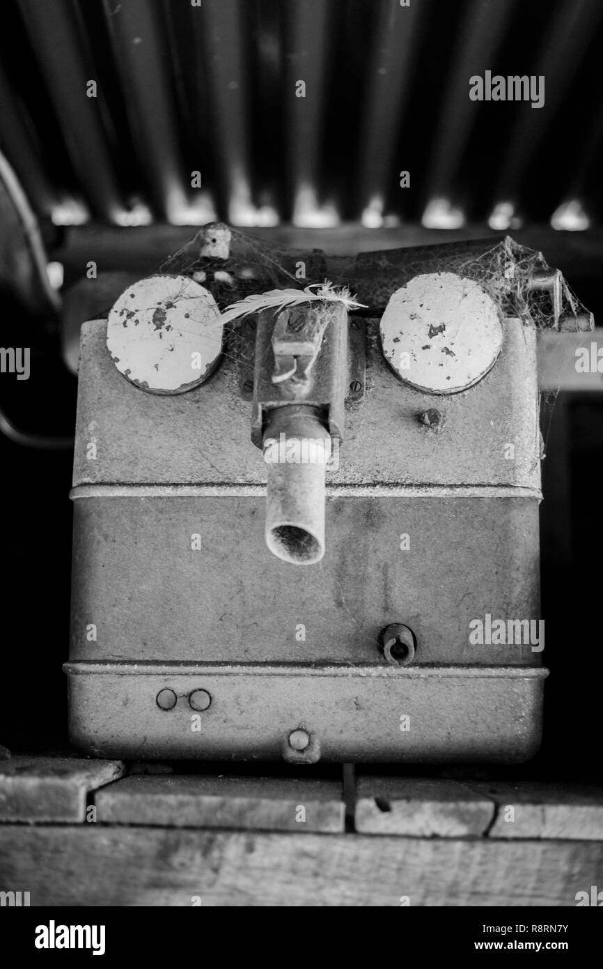 Austrich hi-res stock photography and images - Alamy