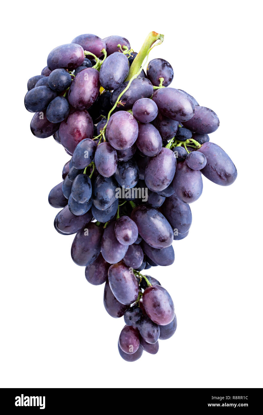 Branch of grapes isolated on white background. Clipping path Stock Photo - Alamy