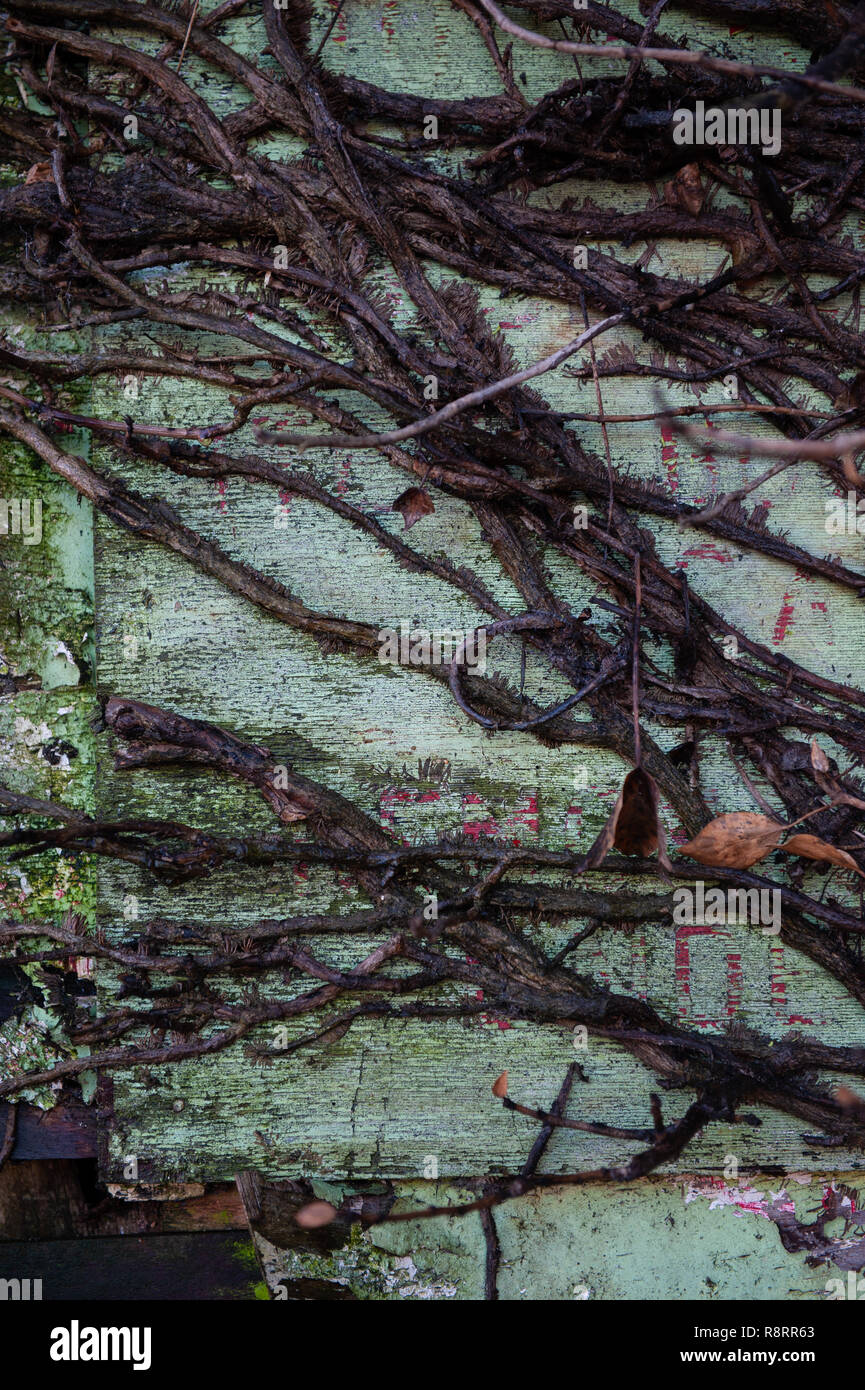 Introspective hi-res stock photography and images - Alamy