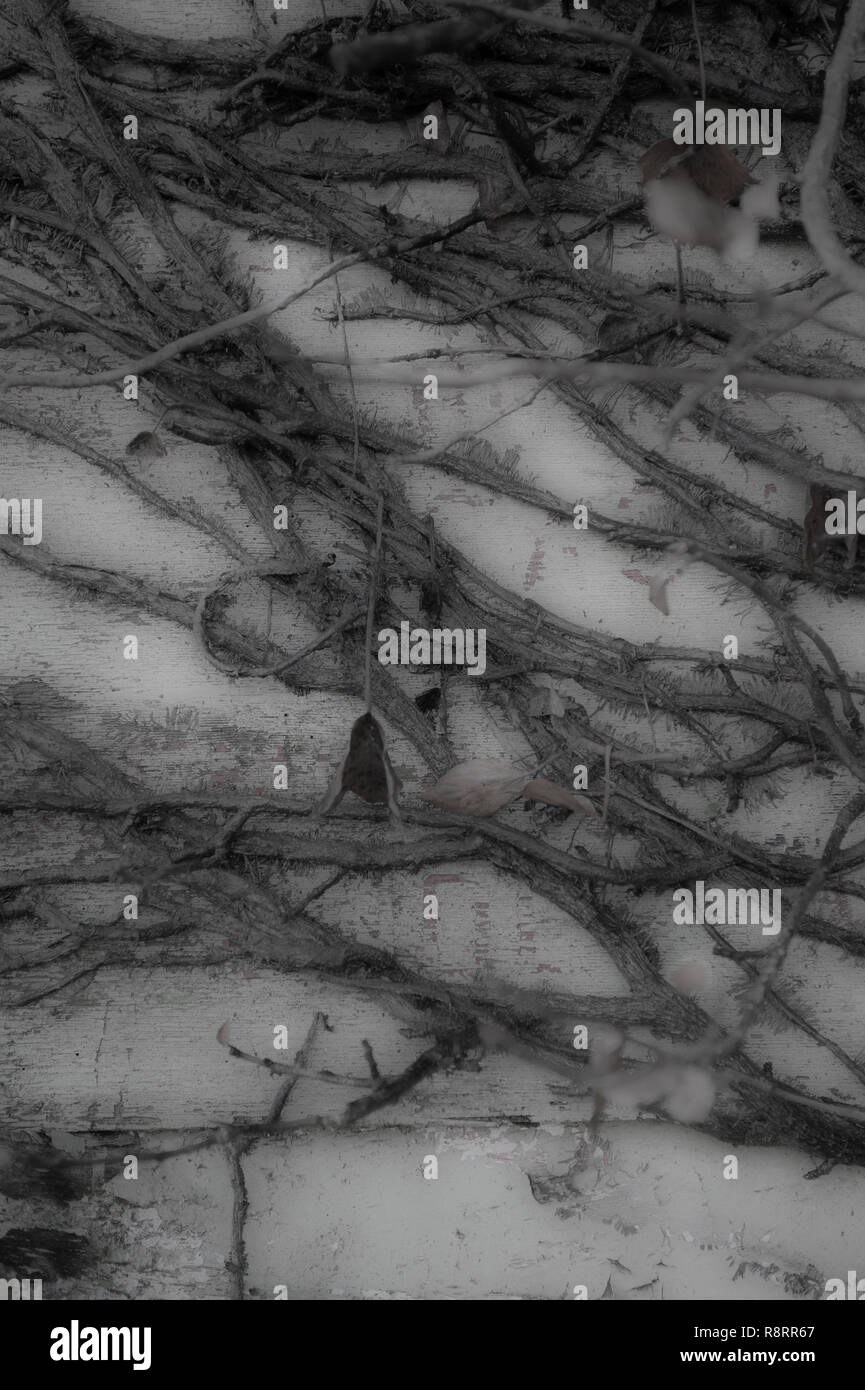 Introspective hi-res stock photography and images - Alamy