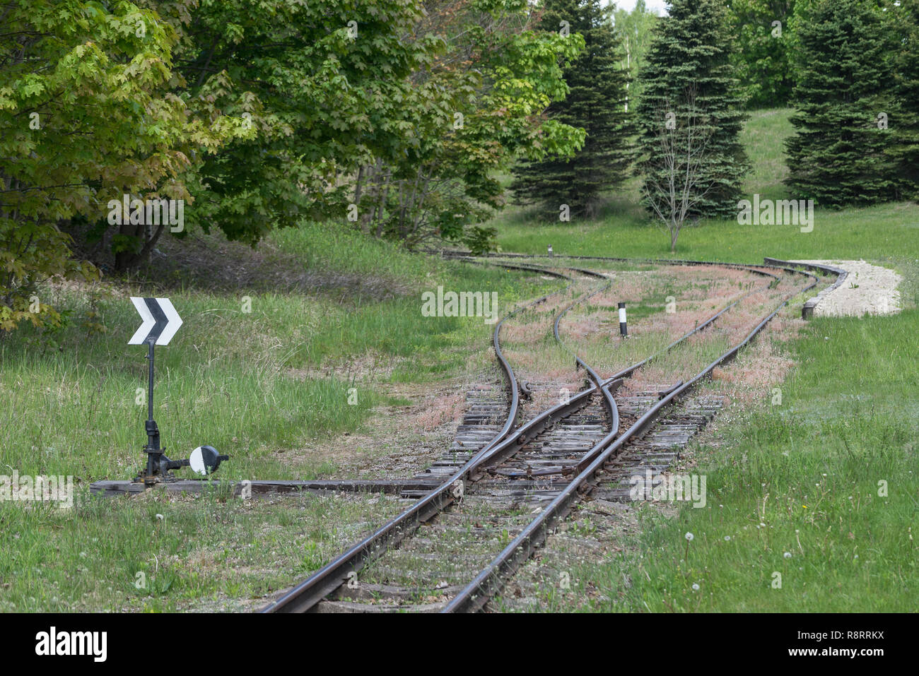 Railroad tracks stretches and green grass and trees. Railway road ...