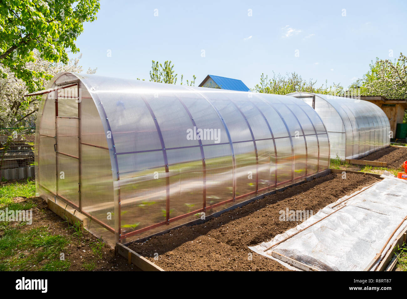 Polycarbonate greenhouse in the garden. Semicircular shape Stock Photo ...