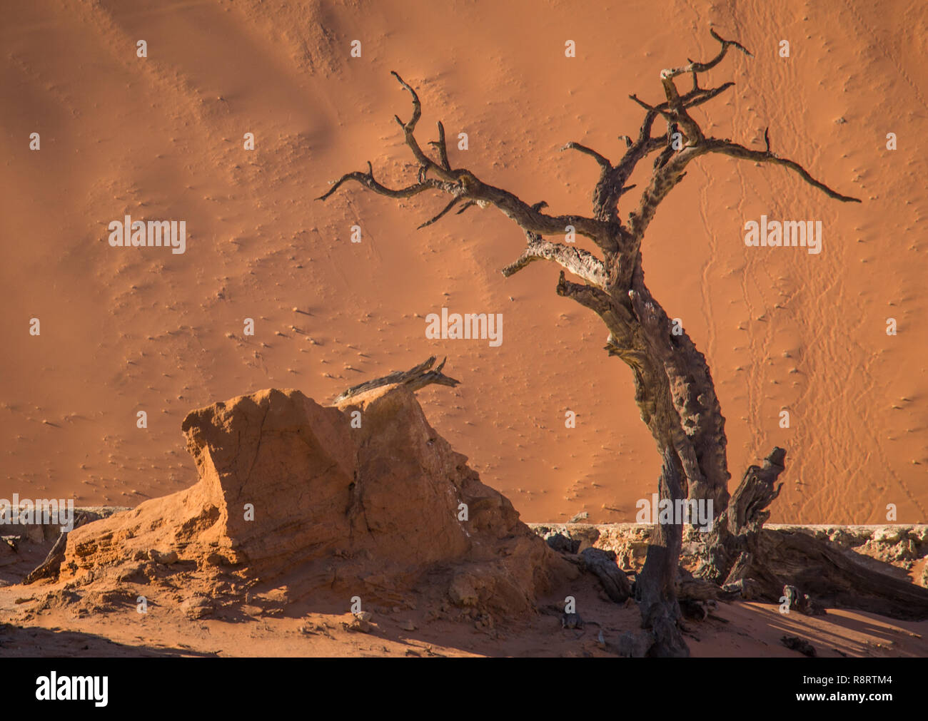Red dunes and trees Stock Photo - Alamy