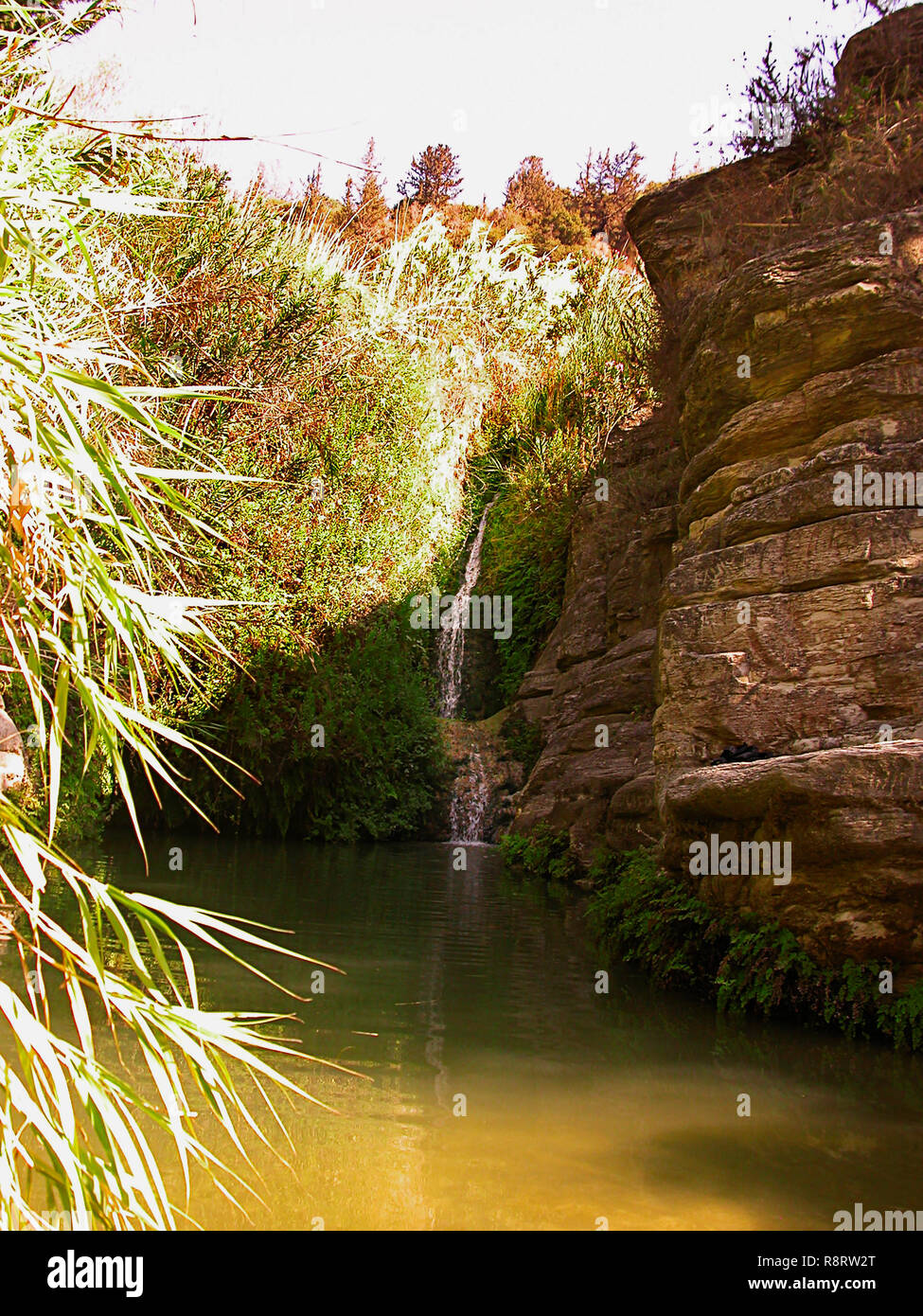 Baths of Adonis, Paphos District, Cyprus: upper pool and cascade Stock ...