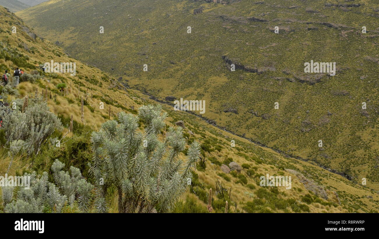 Mackinder's Valley in Mount Kenya Stock Photo - Alamy