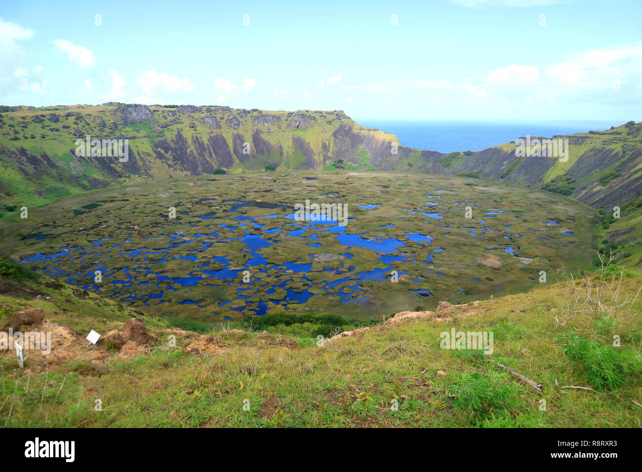 Kau Forest High Resolution Stock Photography and Images - Alamy