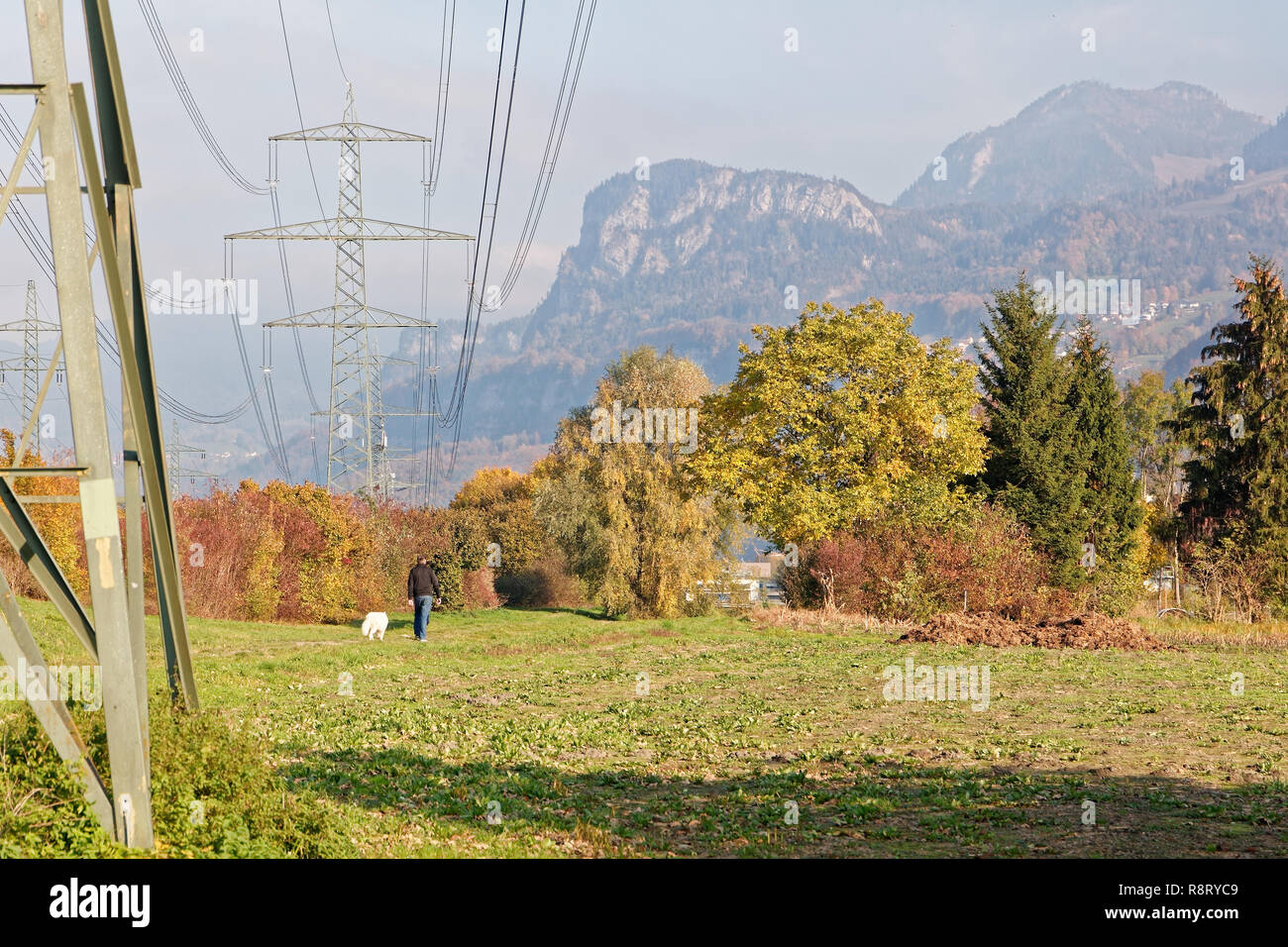 Old stork grass hi-res stock photography and images - Alamy