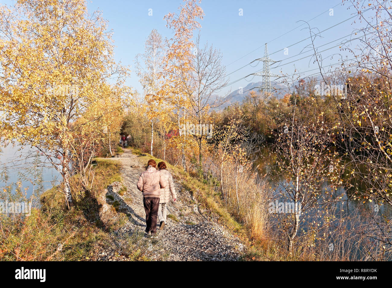 Locals hiking at autumnal banks of Old Rhine - Altach, Vorarlberg ...