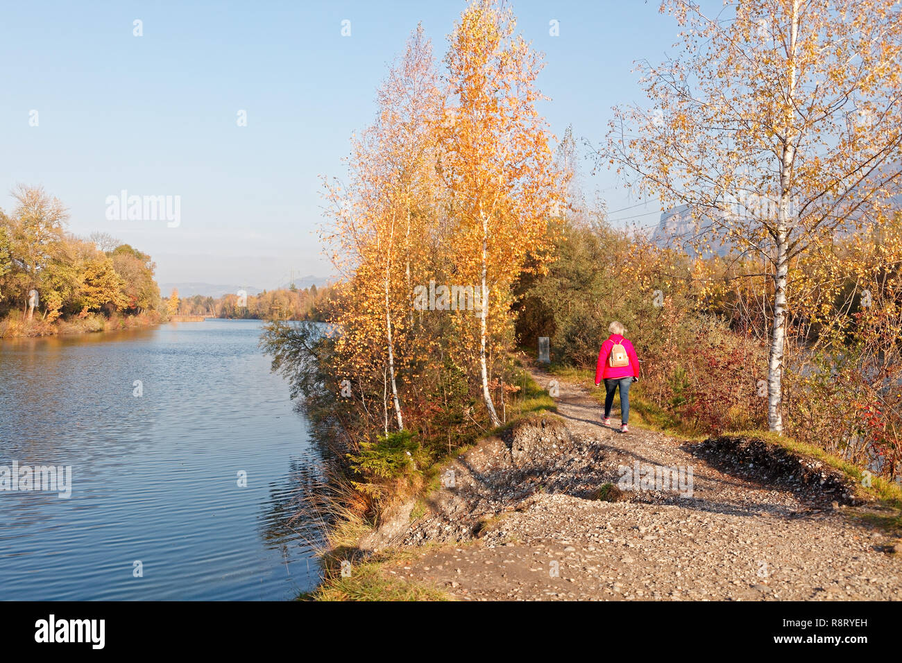 Locals hiking at autumnal banks of Old Rhine - Altach, Vorarlberg ...