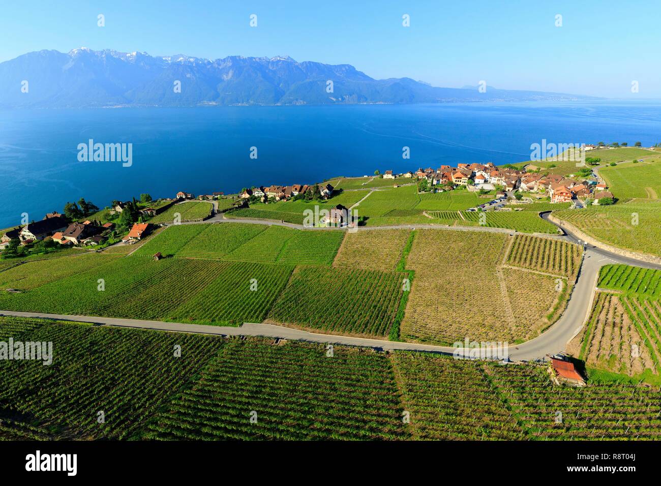 Lavaux mountain vineyard path hi-res stock photography and images - Alamy