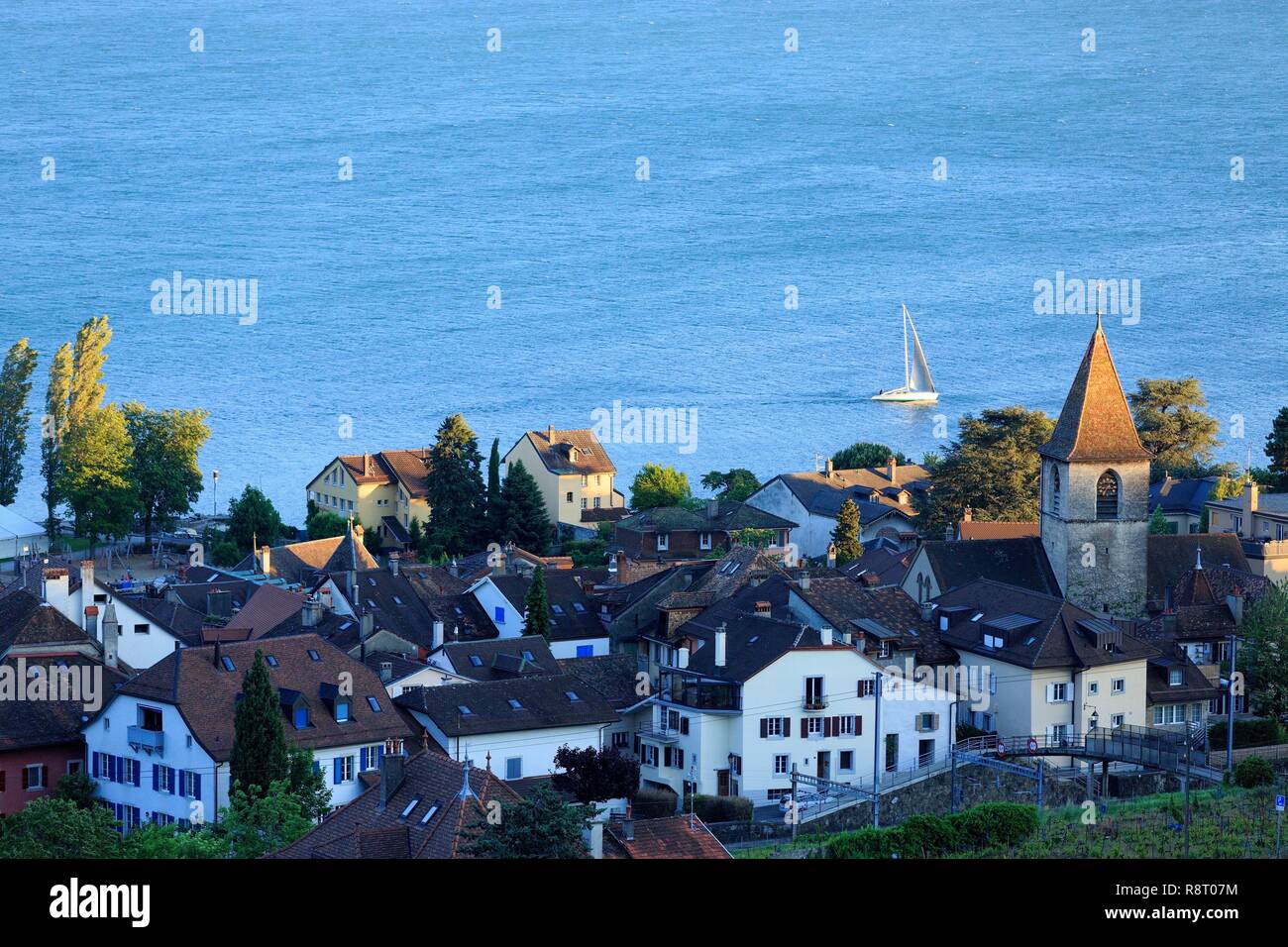 Switzerland, Vaud canton, Lake Geneva, District Lavaux Oron, Bourg en ...