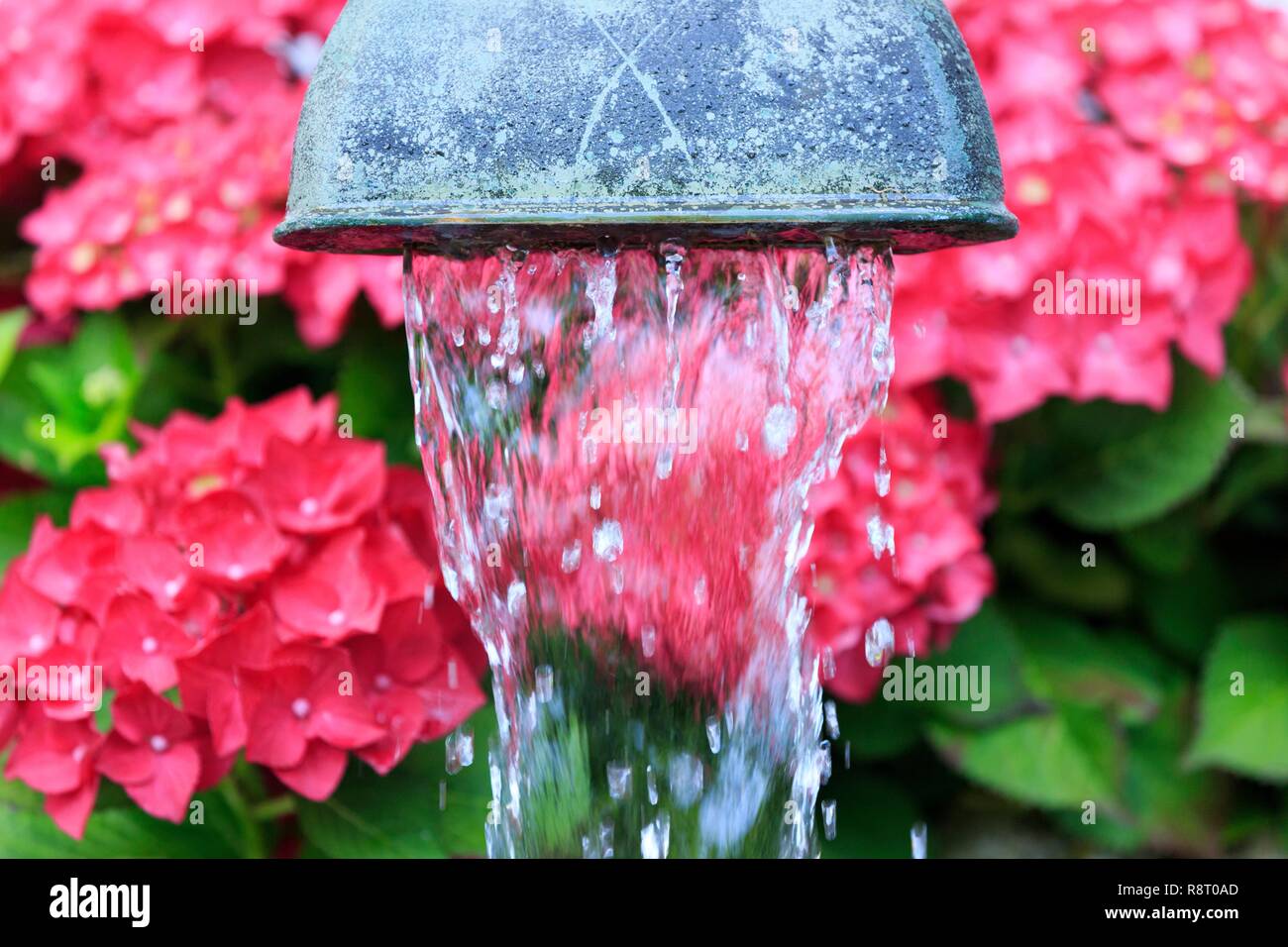 Promenade treille hi-res stock photography and images - Alamy