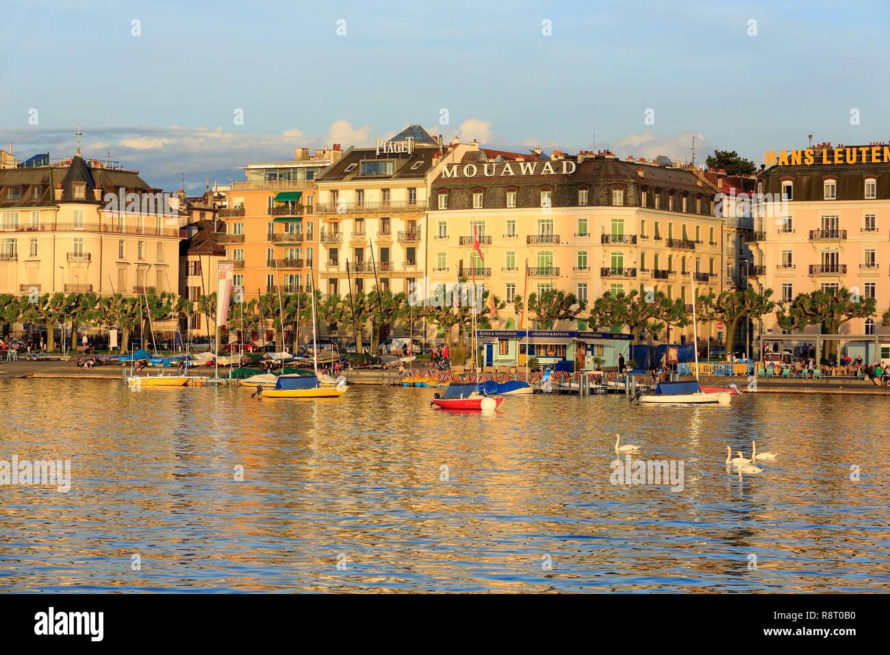 Geneva Harbor