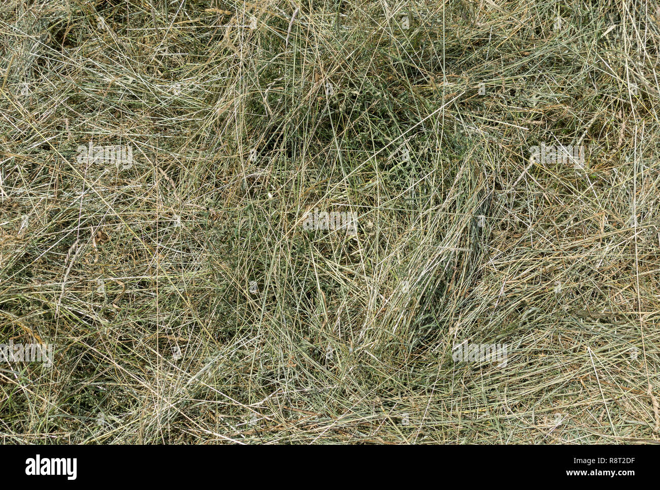 Drying animal feed hi-res stock photography and images - Alamy