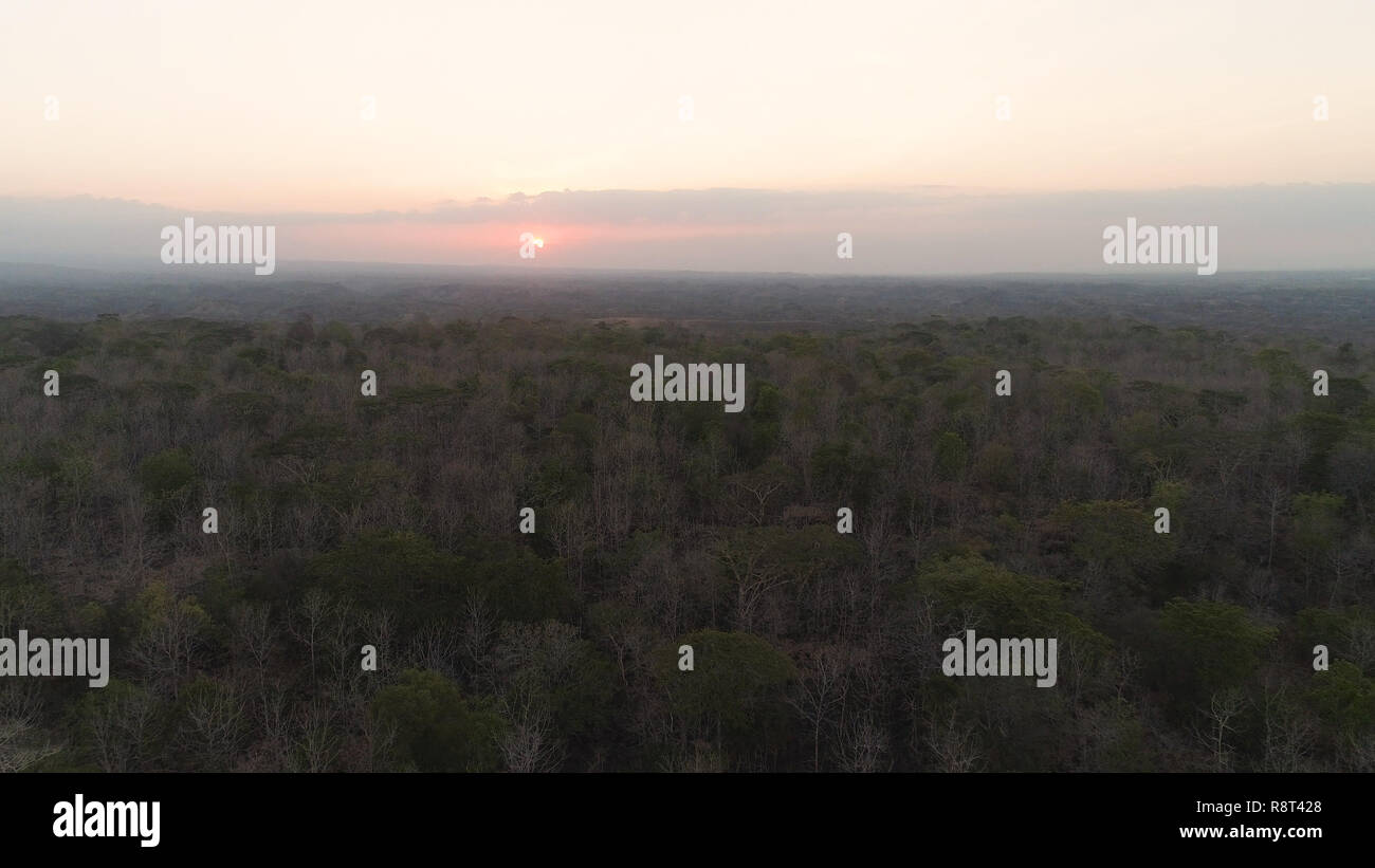 aerial view sunset over savannah forest. foothill rainforest at sunset ...