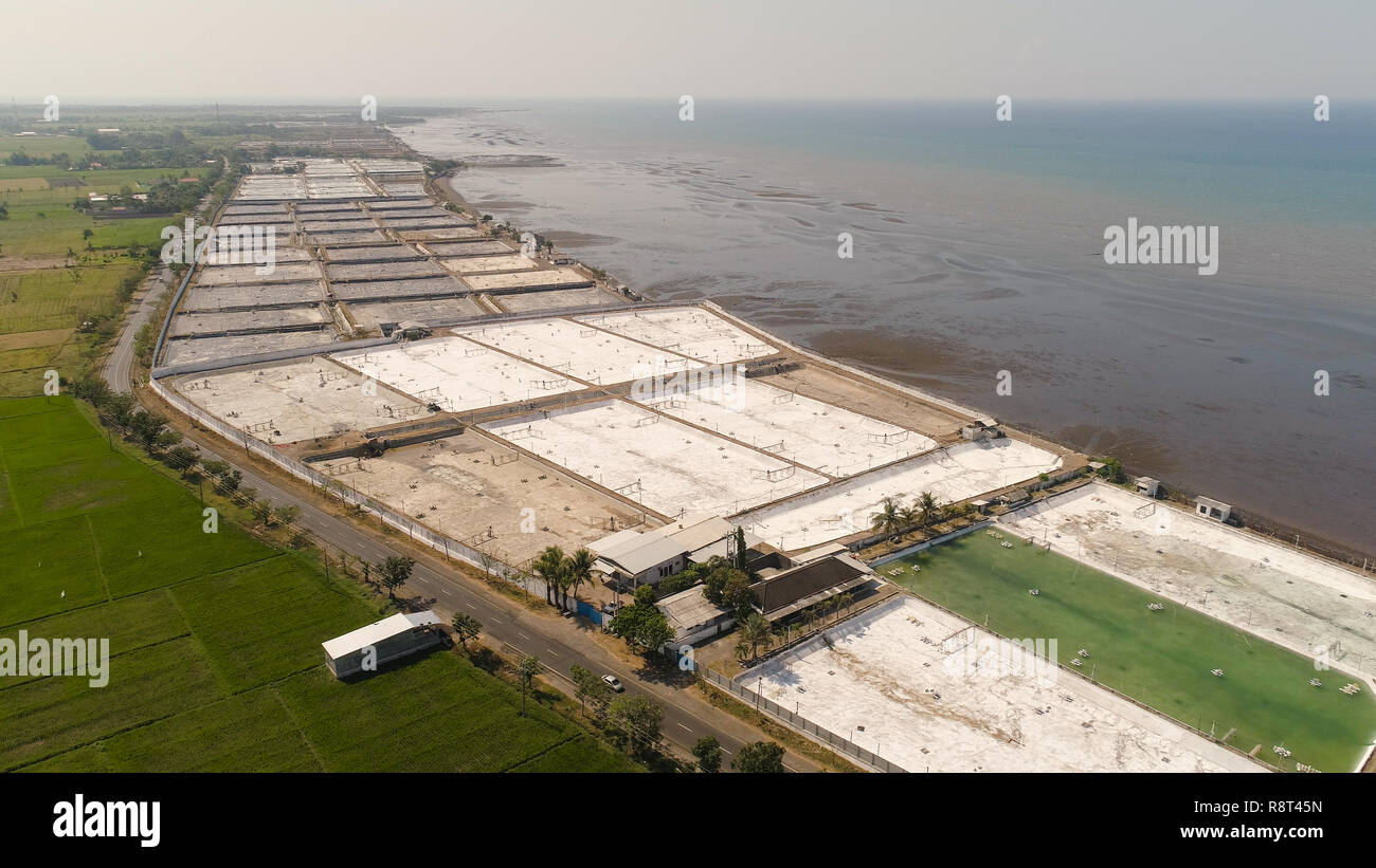 shrimp farm, prawn farming with with aerator pump oxygenation water ...