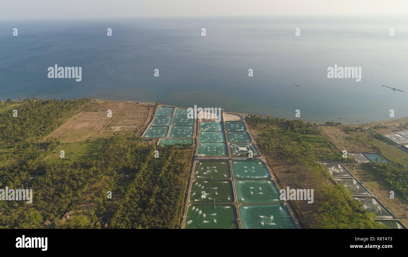 shrimp farm, prawn farming with with aerator pump oxygenation water ...