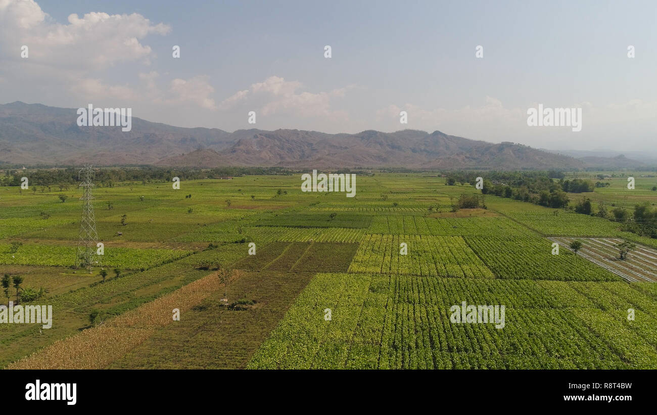 Area of land where crops are grown hi-res stock photography and images ...