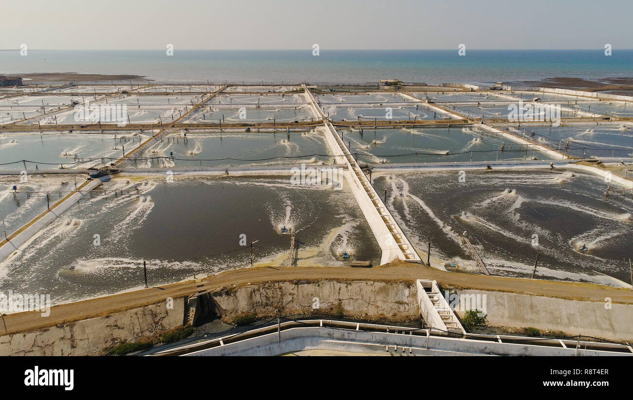 shrimp farm, prawn farming with with aerator pump oxygenation water ...