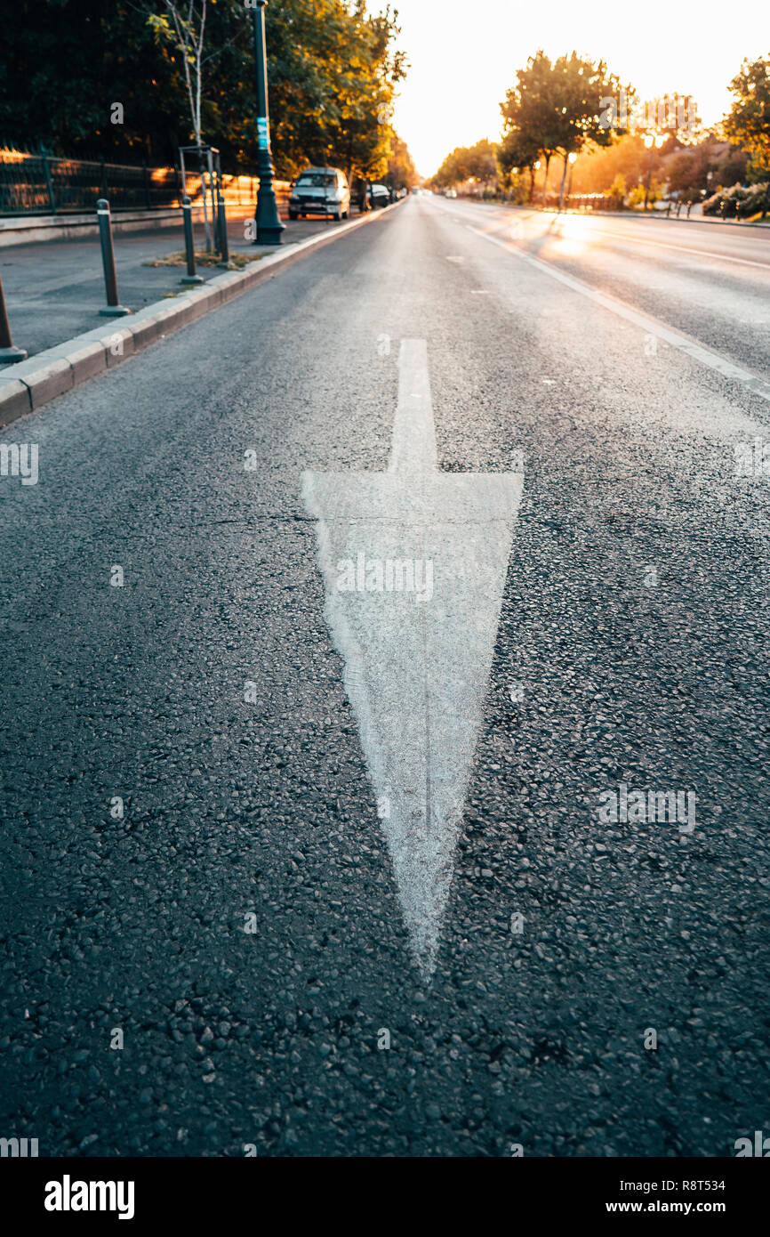Arrow signs as road markings on a street Stock Photo - Alamy
