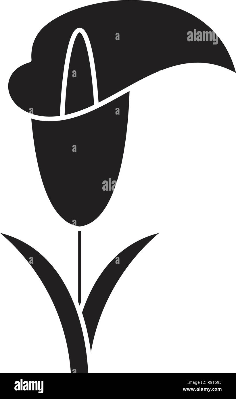 Calla lily black vector concept icon. Calla lily flat illustration ...