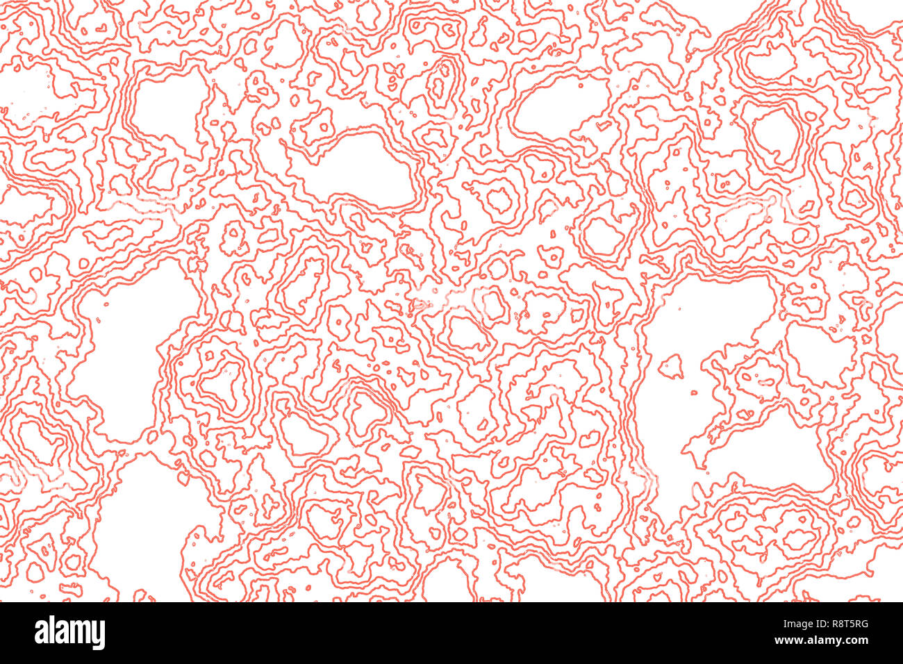 abstract topographic background in red color isolated on white ...