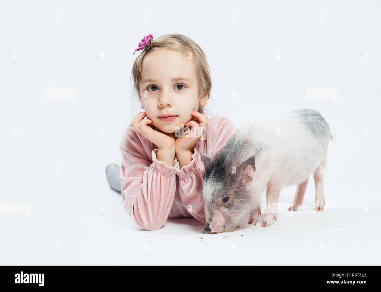 Cute little girl with pig. Child and pet Stock Photo - Alamy