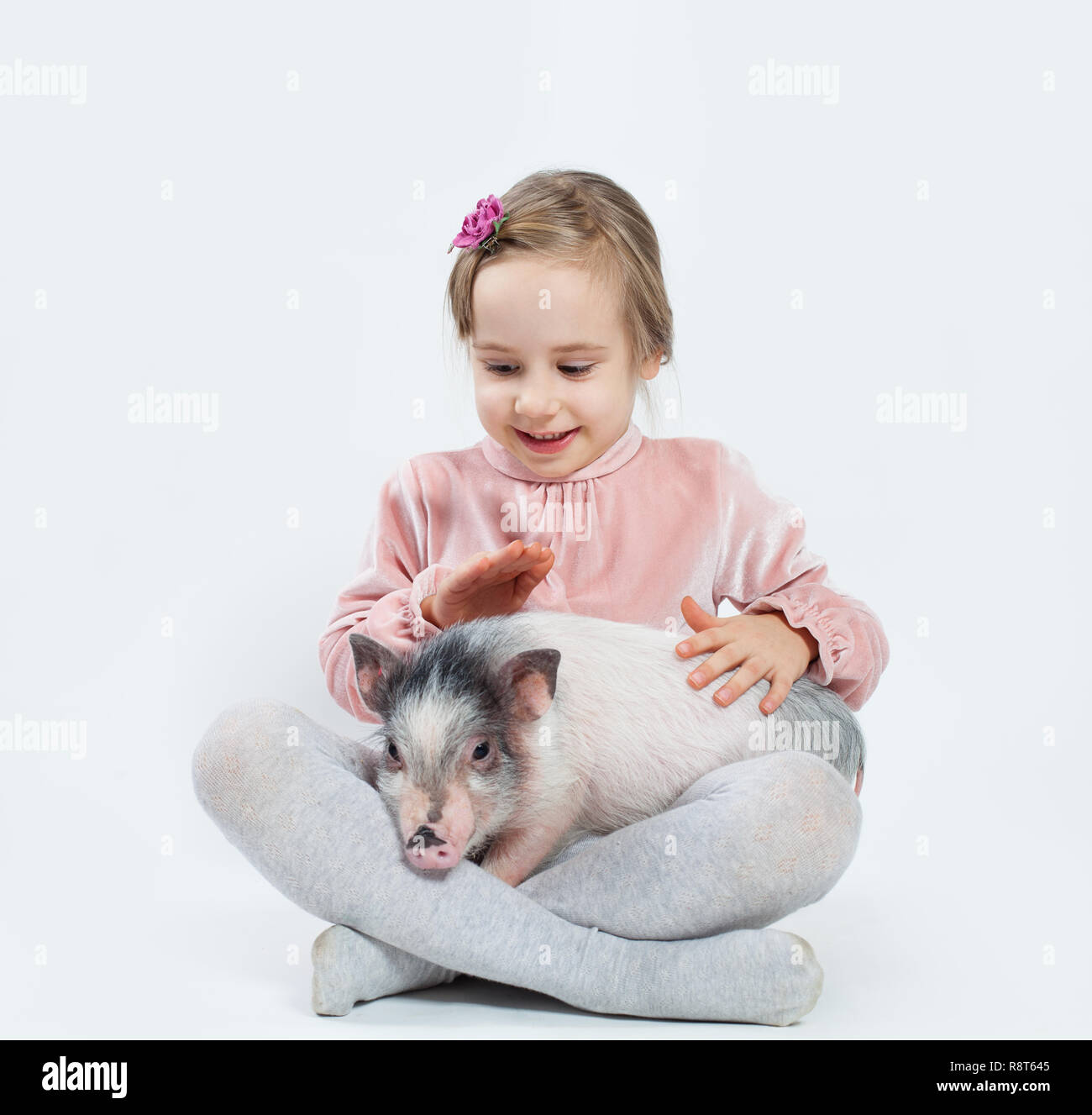 Happy child girl with pig. Child and pet Stock Photo - Alamy