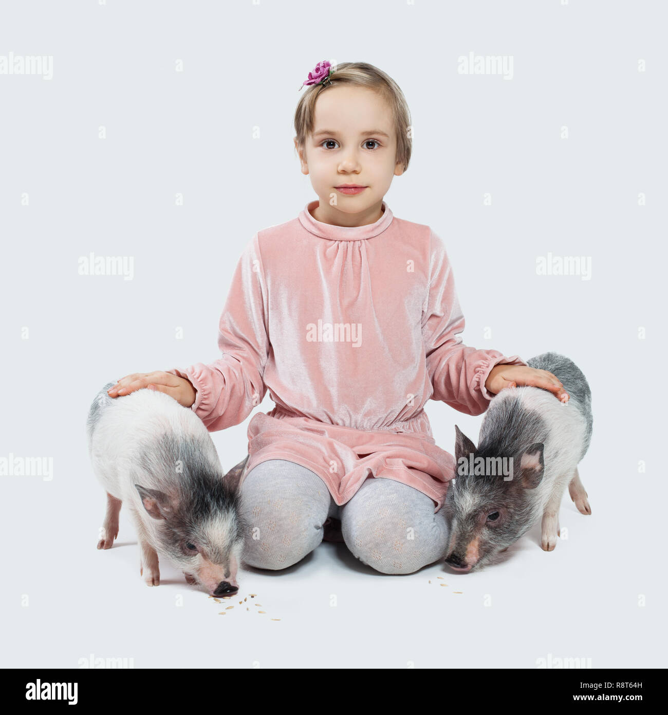 Cheerful little child girl and pigs. Child and pets Stock Photo - Alamy