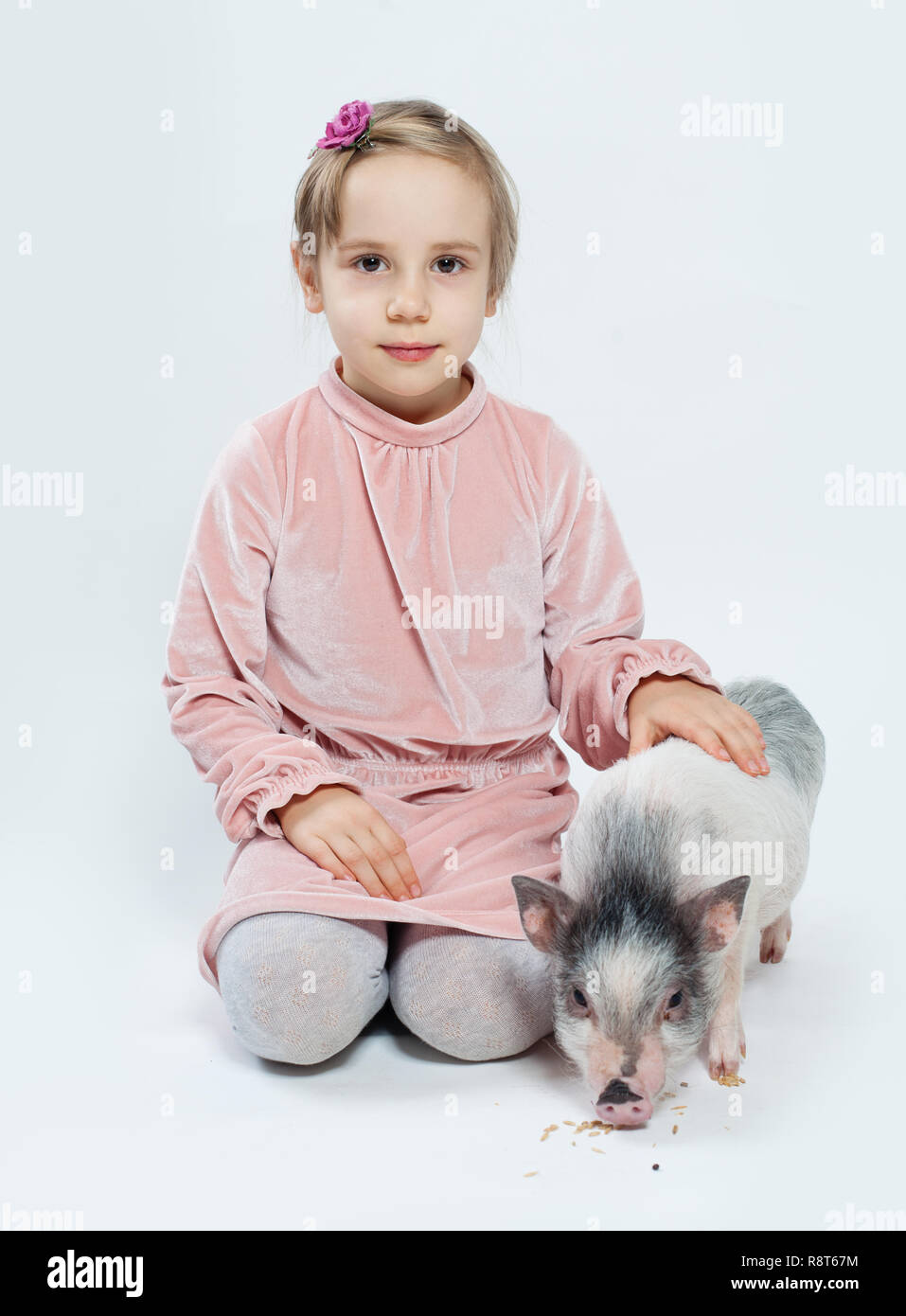 Cute little friends. Small child girl and pig Stock Photo - Alamy
