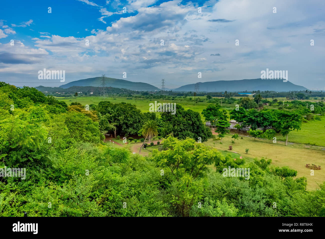 top view of greenery park looking awesome covered by forest Stock Photo ...