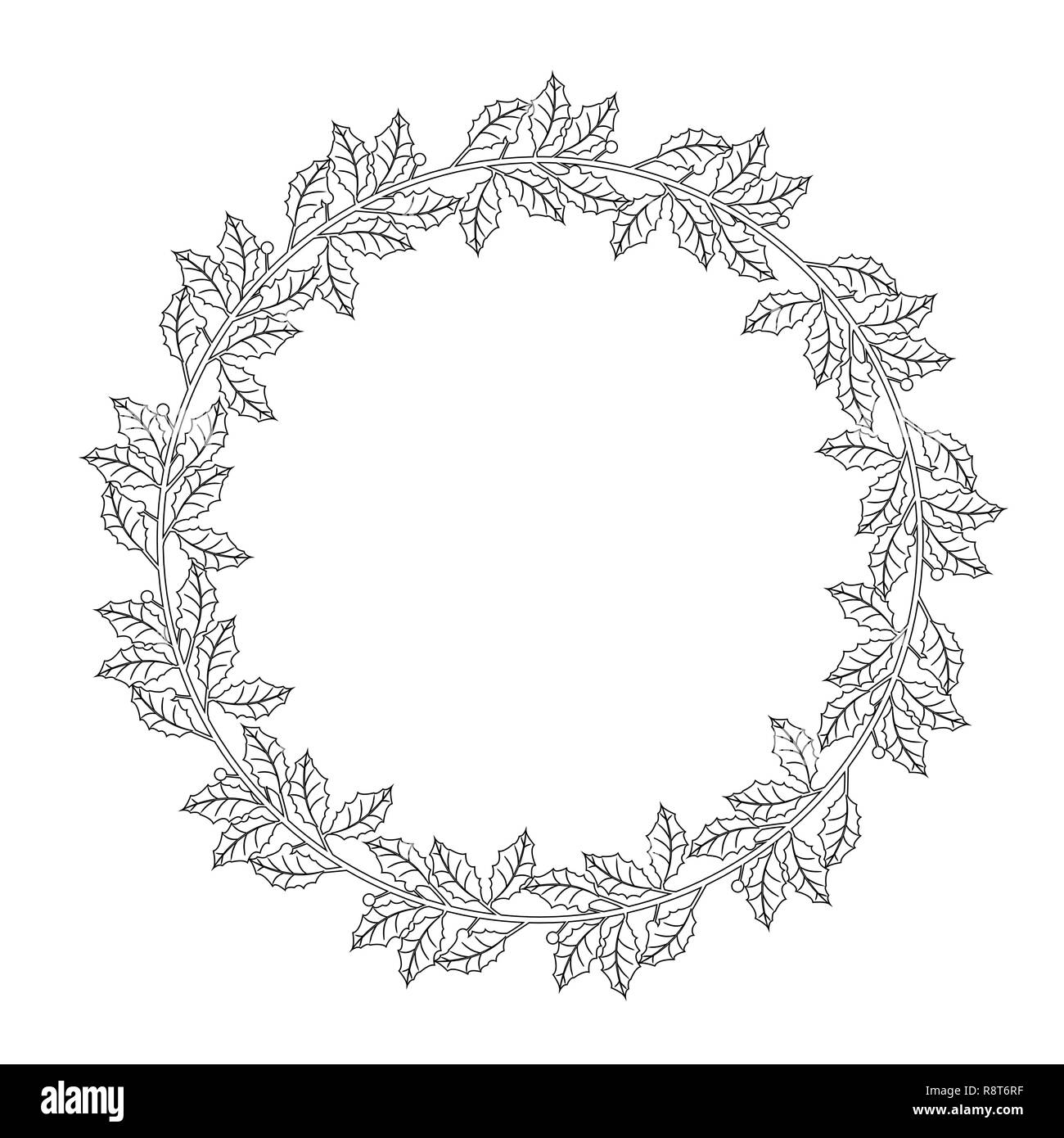 Green holly Black and White Stock Photos & Images - Alamy