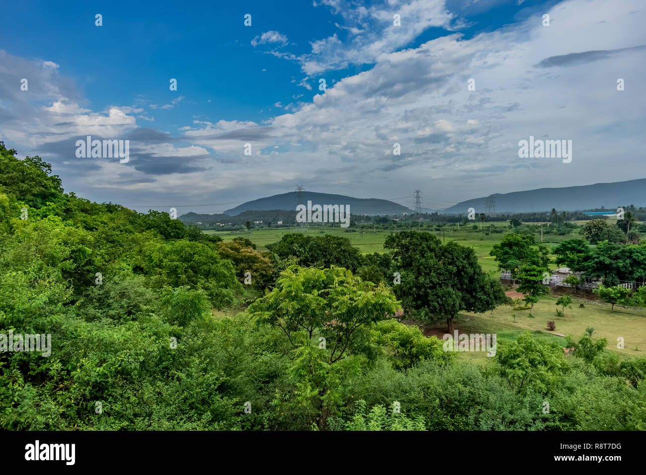 top view of greenery park looking awesome covered by forest Stock Photo ...