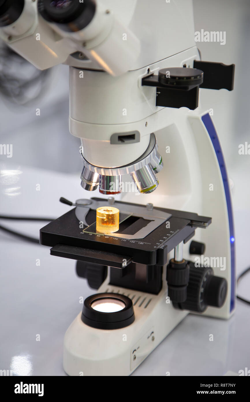 laboratory analysis microscope / inspection / optical / digital camera ...