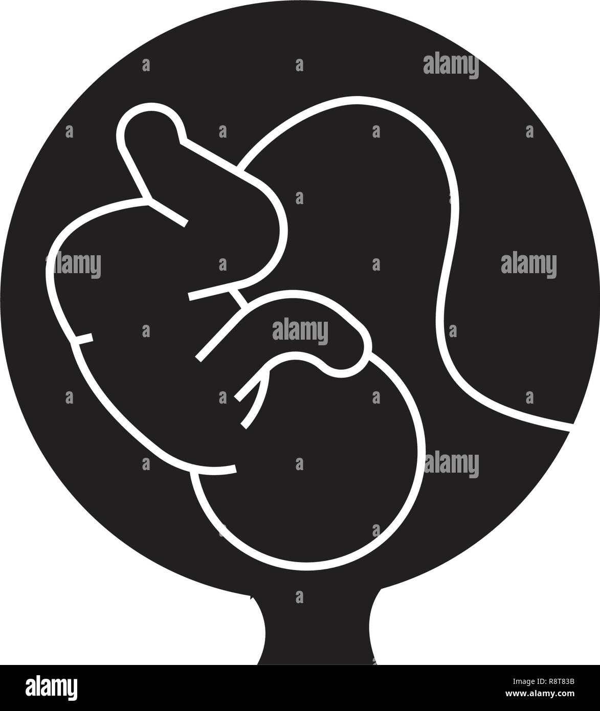 Fetal development black vector concept icon. Fetal development flat ...