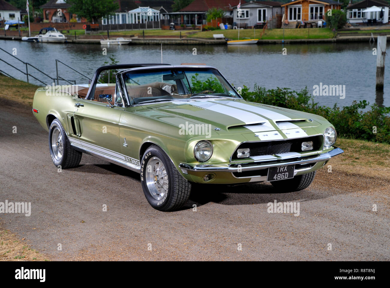 1968 Ford Shelby Mustang GT350 classic American sports car Stock Photo ...