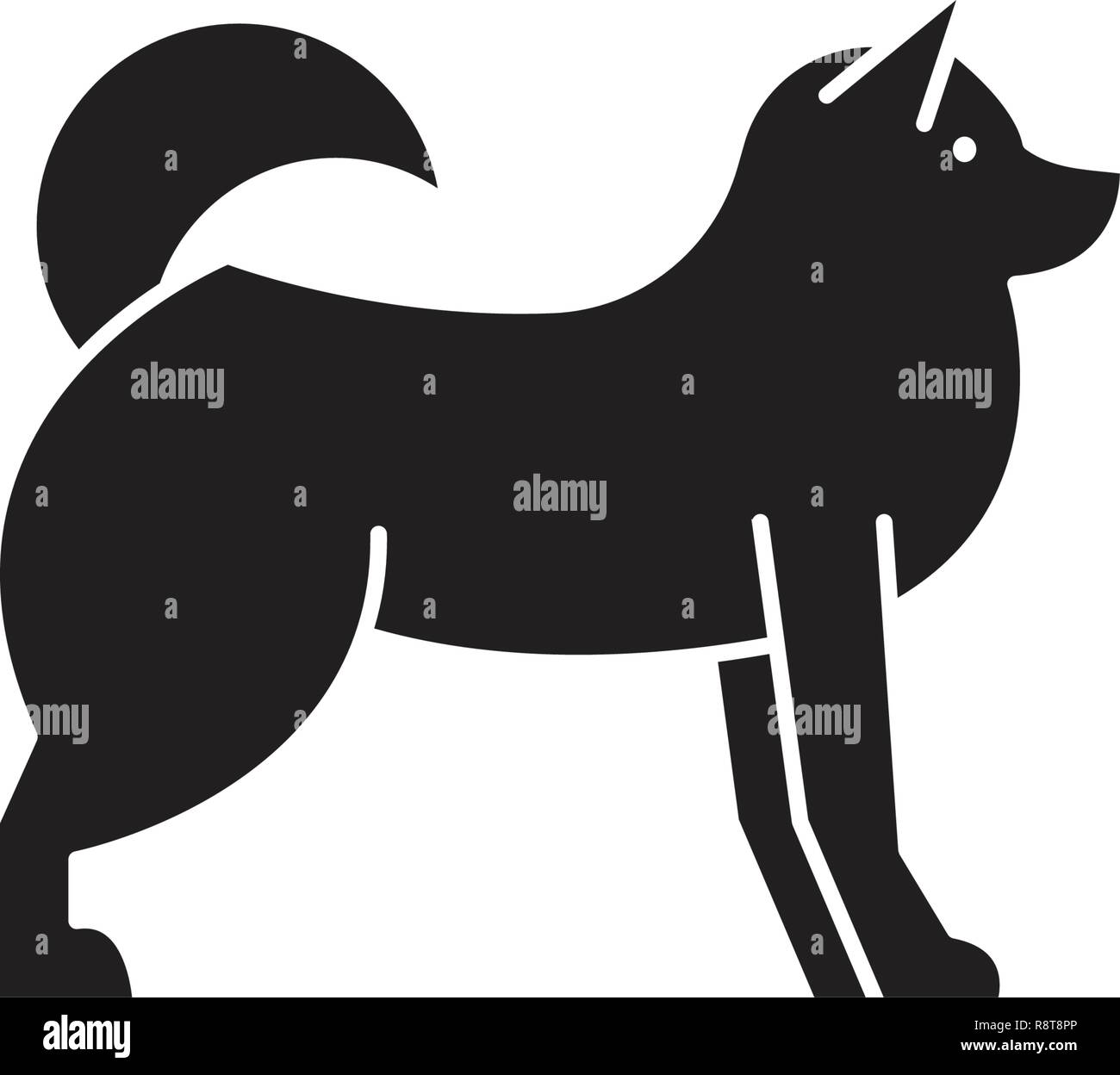 Husky black vector concept icon. Husky flat illustration, sign Stock ...