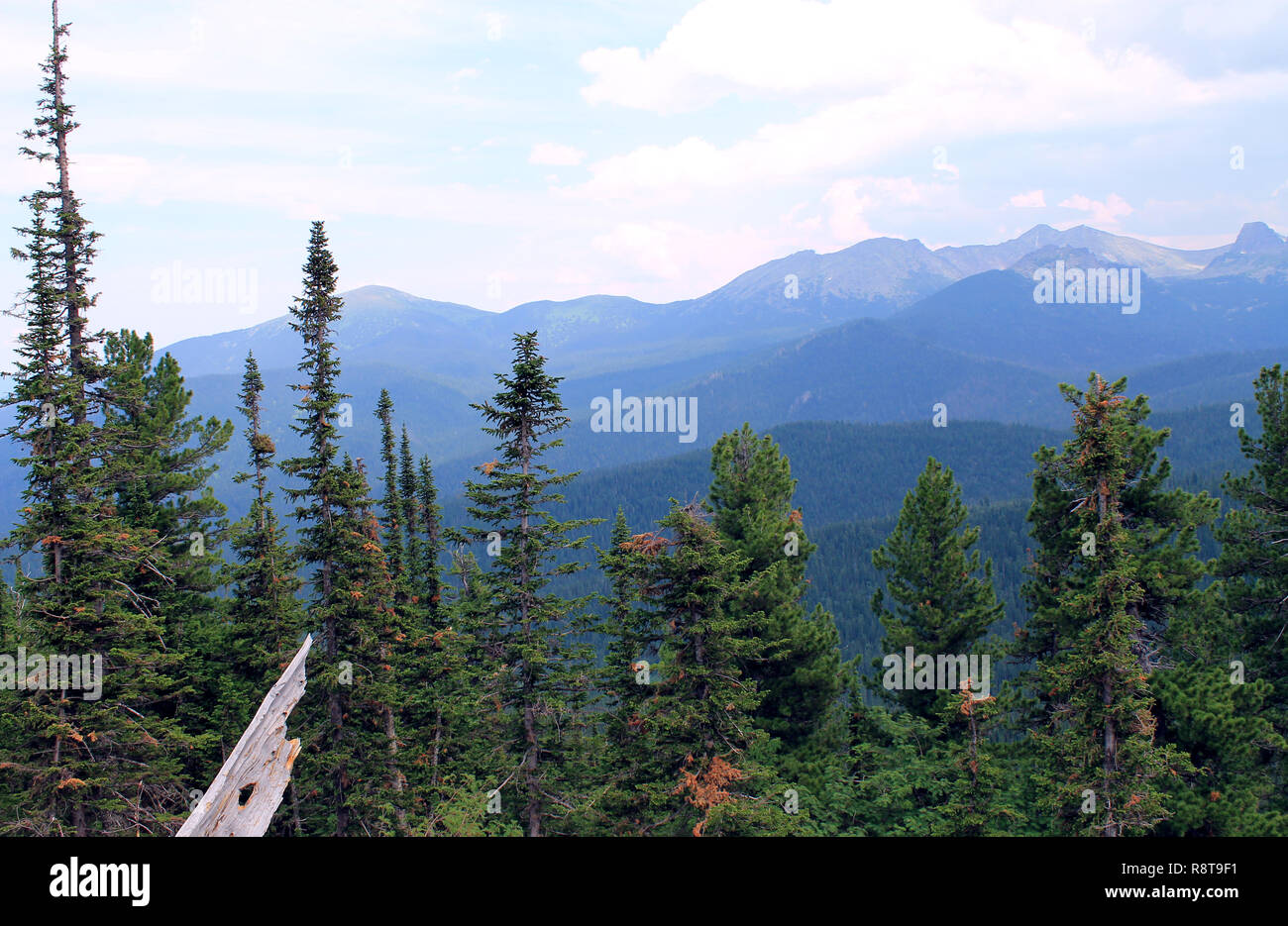 Tuva High Resolution Stock Photography and Images - Alamy