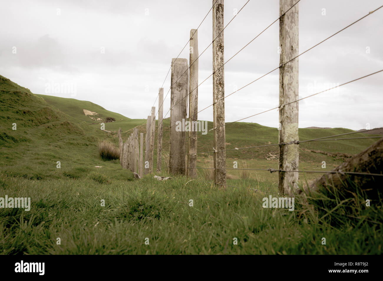 Number 8 fence wire hi-res stock photography and images - Alamy