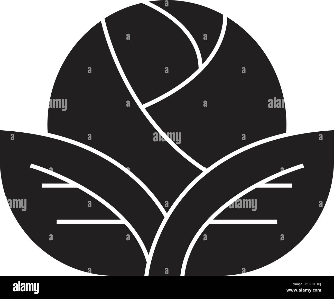 Cabbage salad pumpkin eggplant Stock Vector Images - Alamy