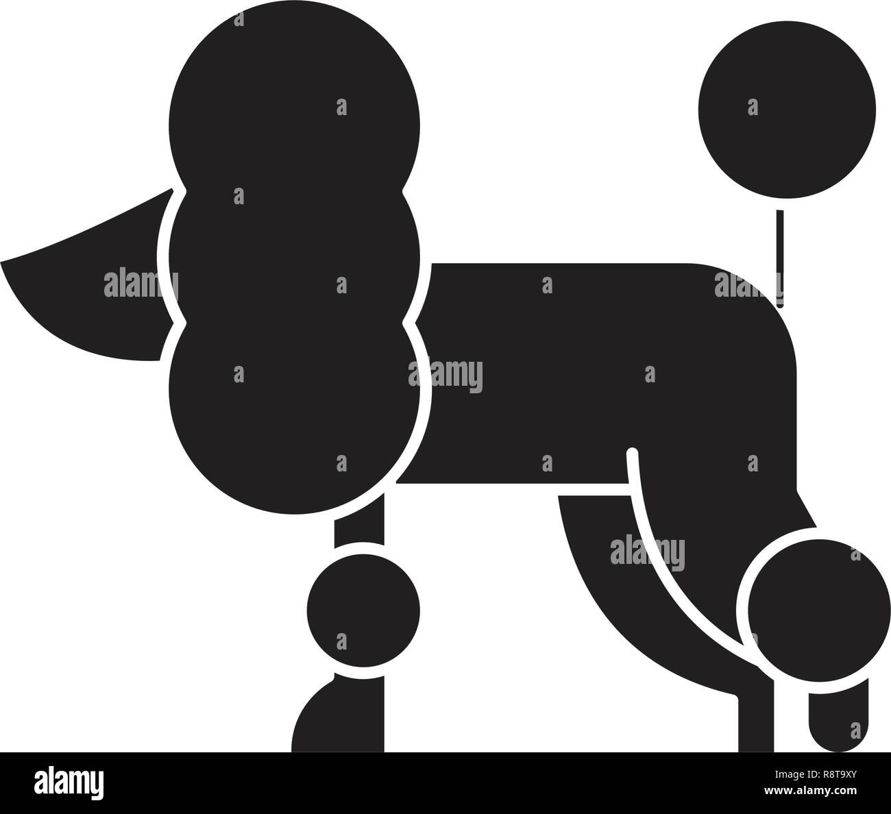 Poodle black vector concept icon. Poodle flat illustration, sign Stock ...