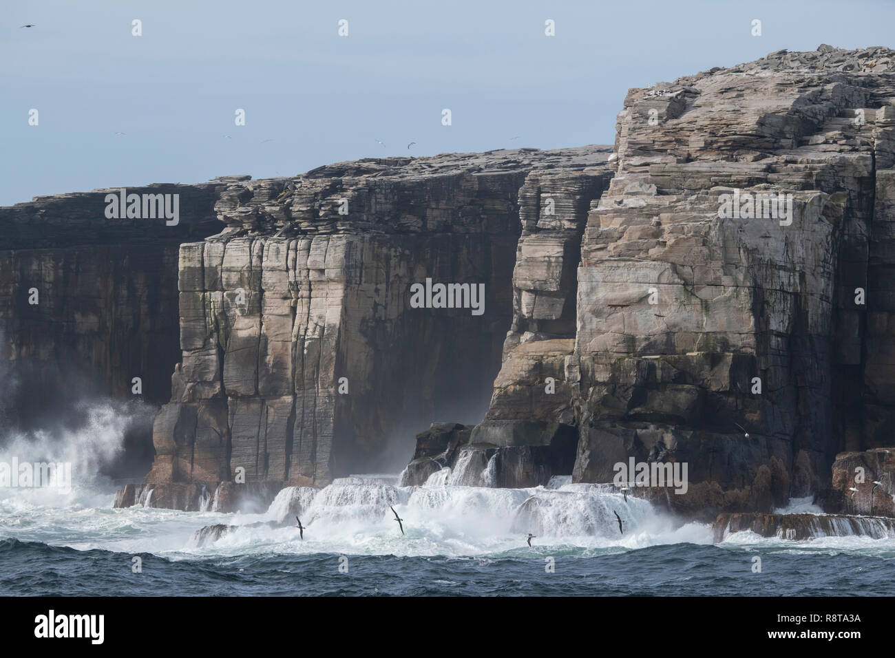 Falkland Islands, Beauchene Island. The southernmost island in the ...