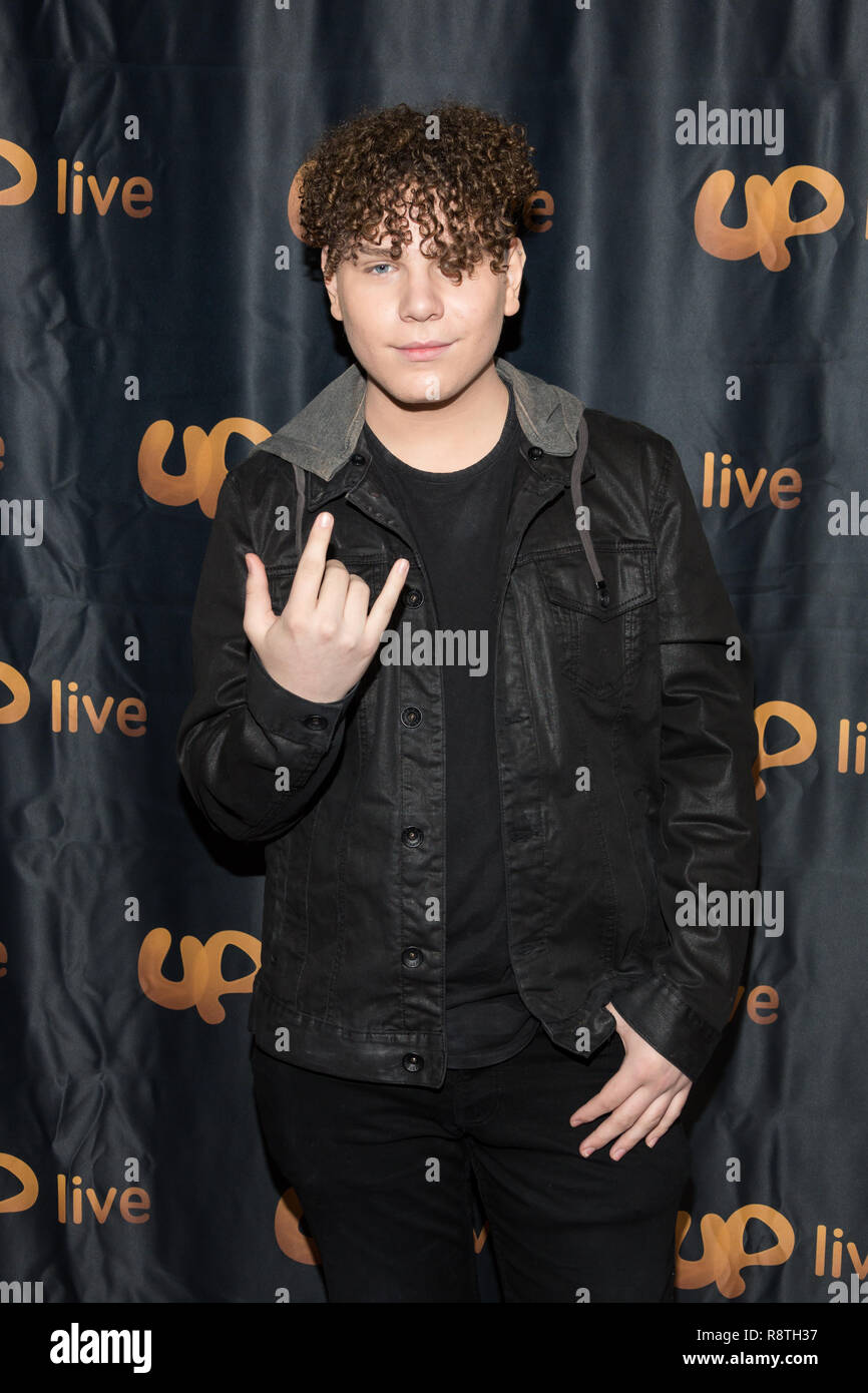 Burbank, California, USA. 16th December 2018. Actor, singer Will B ...