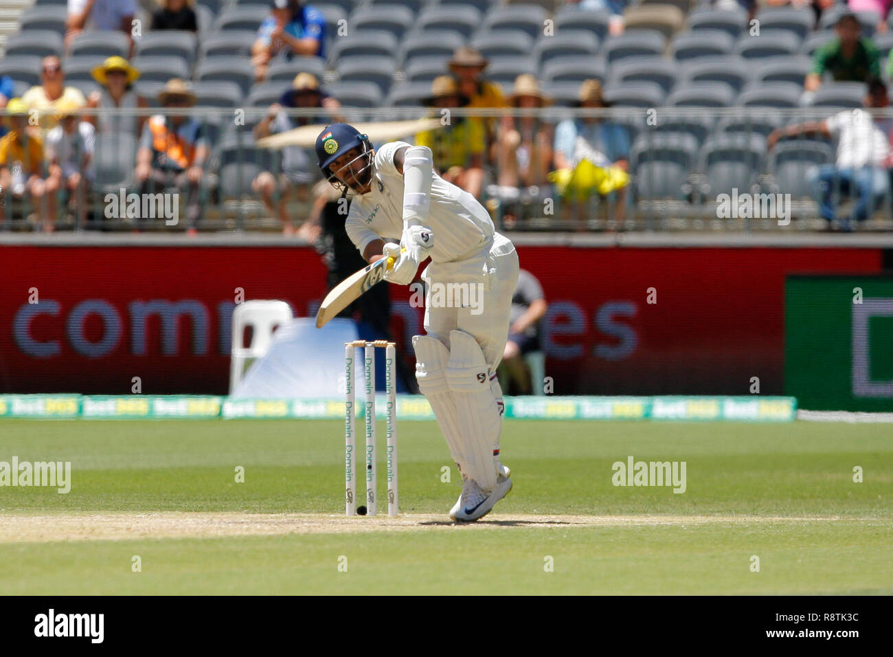 Leg stump hi-res stock photography and images - Alamy