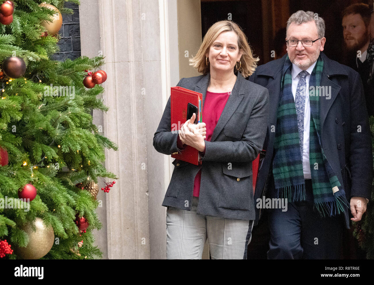 Amber lamber hi-res stock photography and images - Alamy