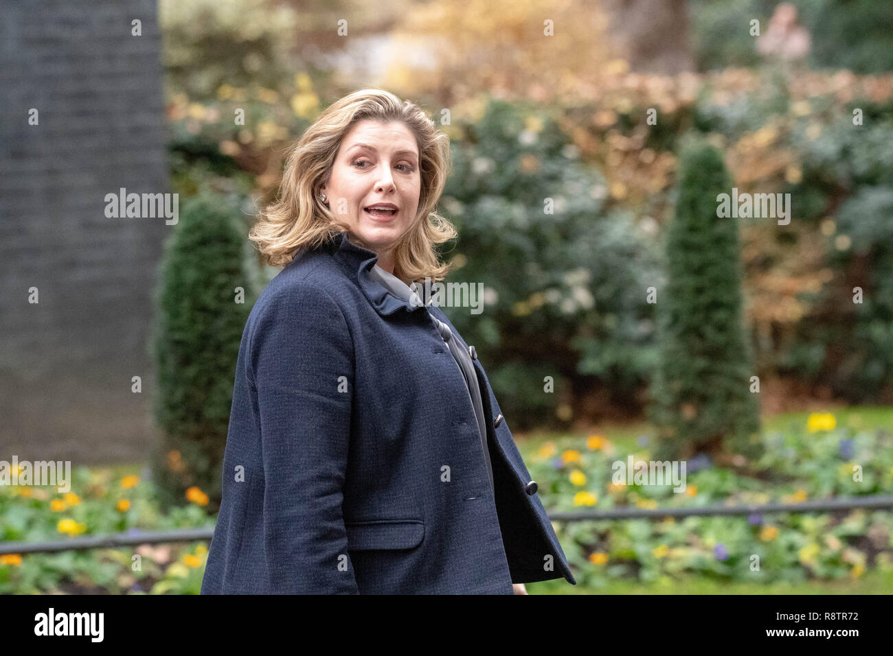 London 18th December 2018, Penny Mordaunt, MP PC, International ...
