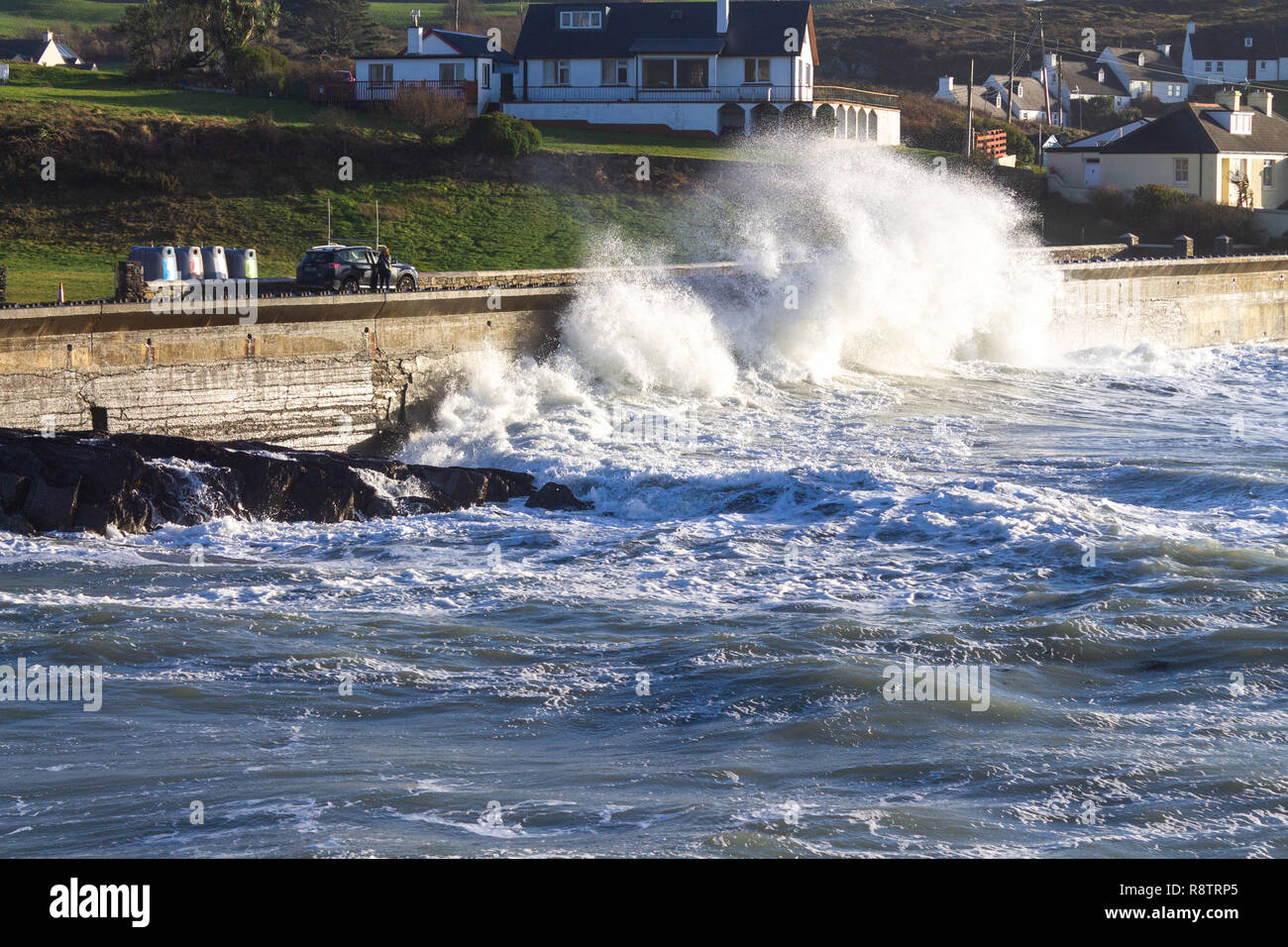 Tragumna, Castlehaven, West Cork, Ireland, December 18th 2018. Yet ...