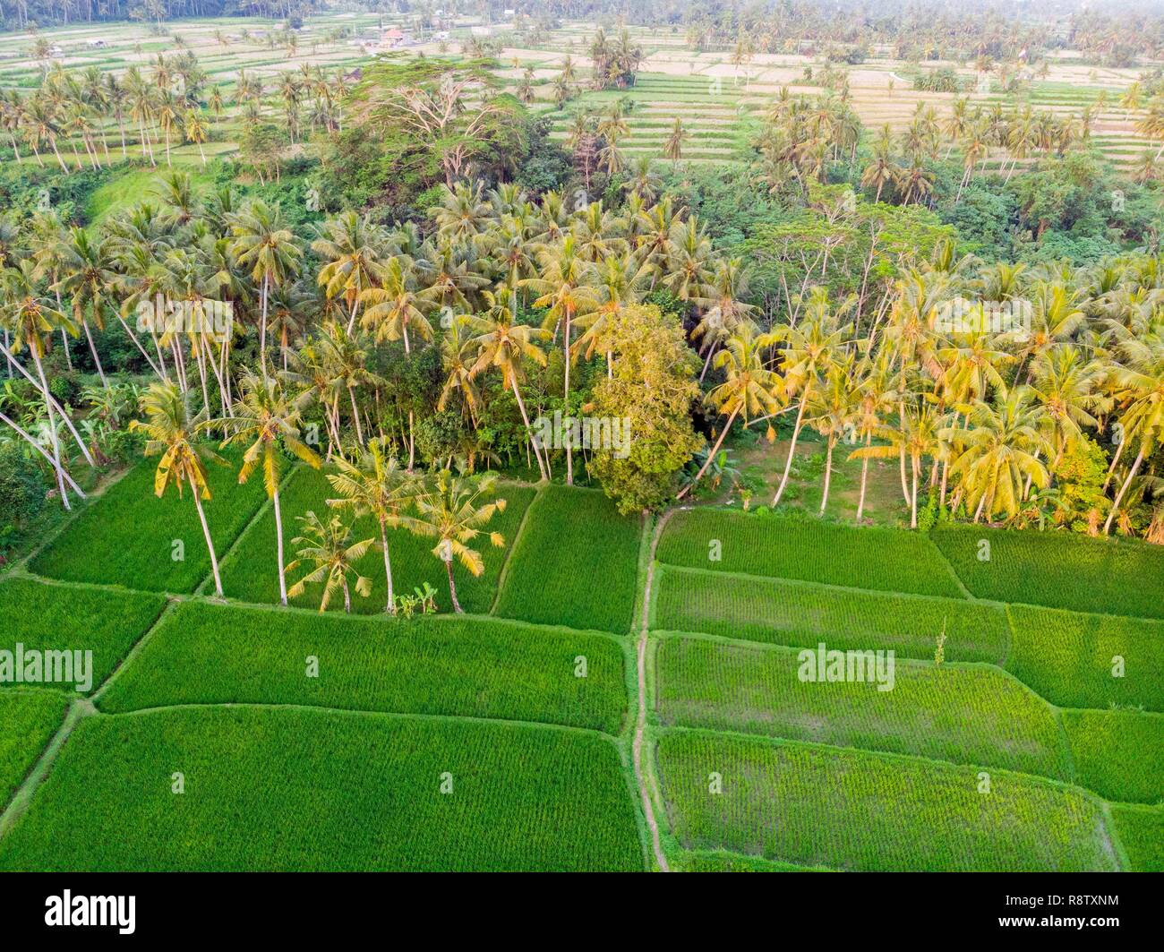 Aerial view of ubud hi-res stock photography and images - Alamy