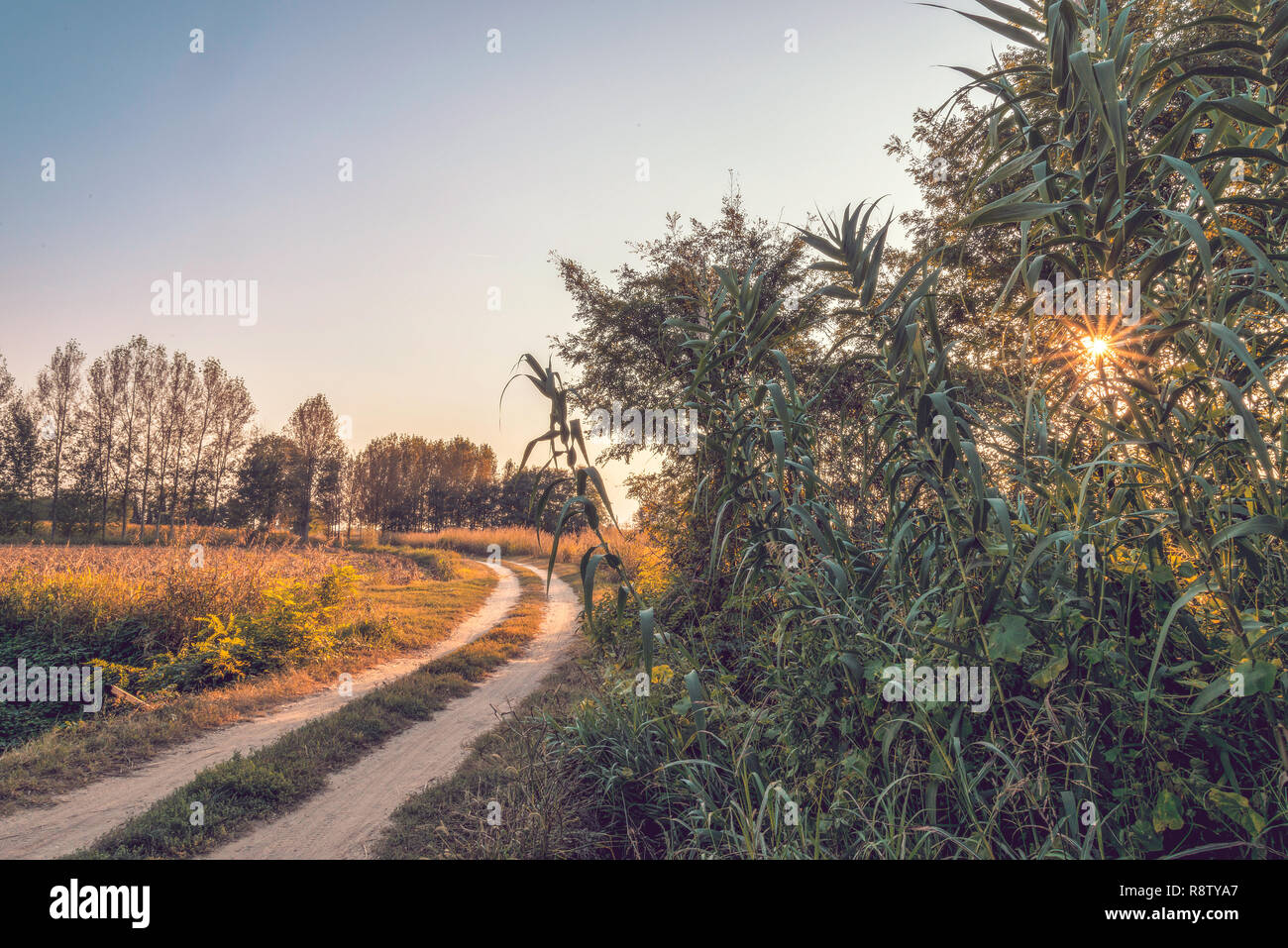 Country dirt road in Lomellina at sunset Stock Photo - Alamy